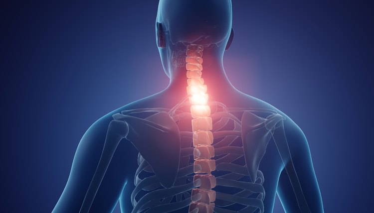 What Muscles Are Worked During Neck Extensions? (Includes Video ...